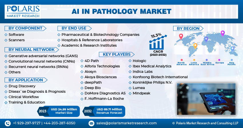 AI in Pathology Market Size, Share Analysis 2032